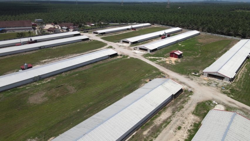 aerial view breeder house oil palm Stock Footage Video (100% Royalty ...