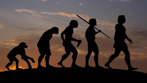 Human Evolution Time Lapse Sunrise Colorful Stock Footage Video (100% ...