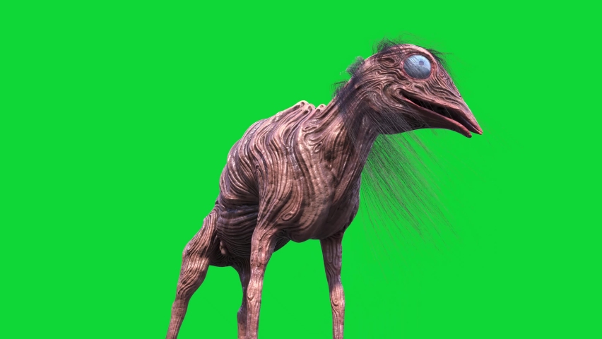 SCP Footage, Videos and Clips in HD and 4K - Avopix.com