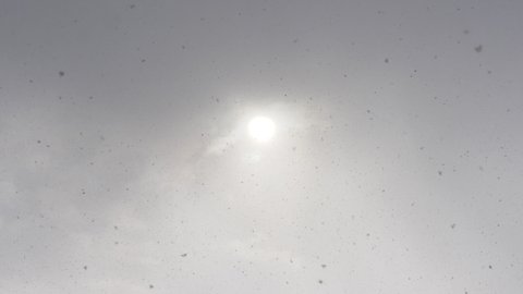Beautiful Blizzard Against Backdrop Sun Behind Stock Footage Video (100 ...