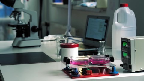 Shaker Microbiology Lab Orbital Shaker Stock Footage Video (100% ...