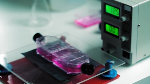 Shaker Microbiology Lab Orbital Shaker Science Stock Footage Video (100 ...