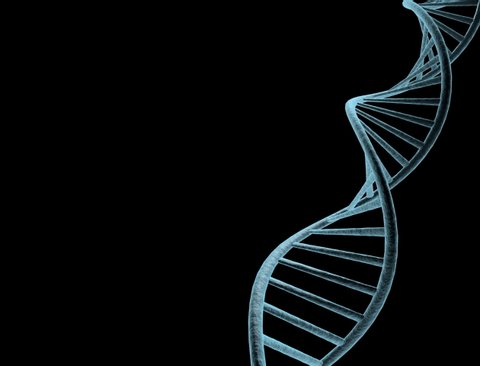 Dna Structure Isolated On Black Background Stock Footage Video (100% ...