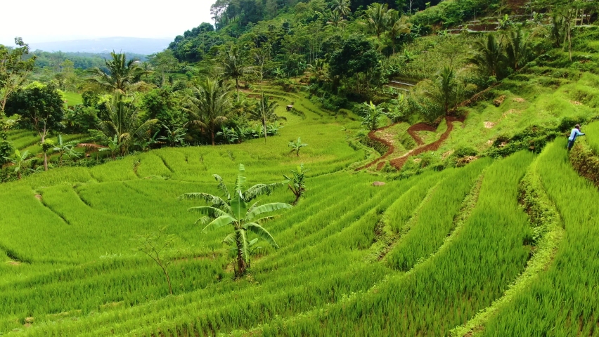 Javanese Landscape Stock Video Footage - 4K and HD Video Clips ...