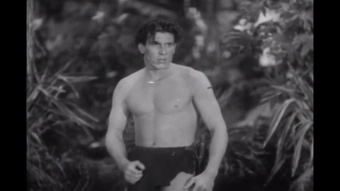 Tarzan Stock Video Footage - 4K and HD Video Clips | Shutterstock