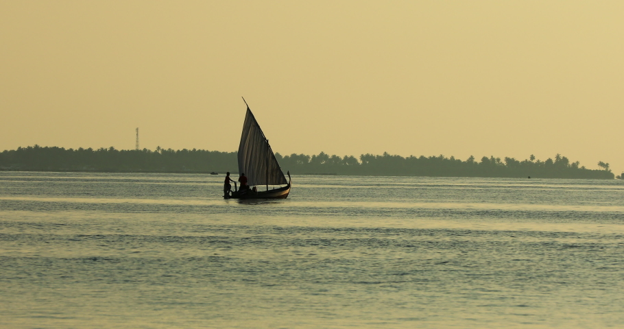 Coconut tree sailing boat Stock Video Footage - 4K and HD Video Clips ...