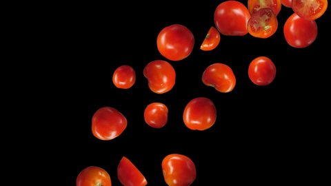 Tomatoes Falling Down Alpha Channel Stock Footage Video (100% Royalty ...
