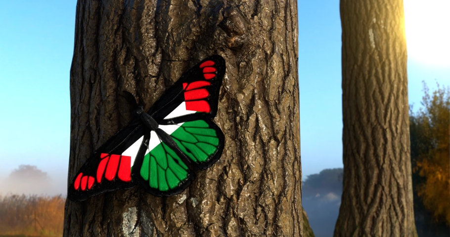 Flag of Palestine On Butterfly Stock Footage Video (100% Royalty-free ...