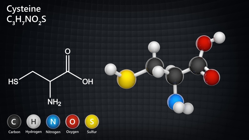 Cysteine (symbol Cys or C) 스톡 동영상 비디오(100% 로열티 프리) 1071887221 ...