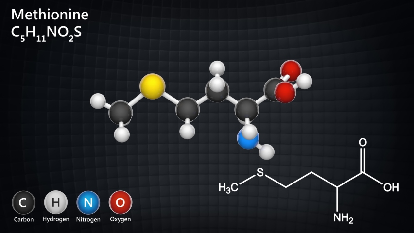 Methionine (symbol Met or M) Stock Footage Video (100% Royalty-free ...