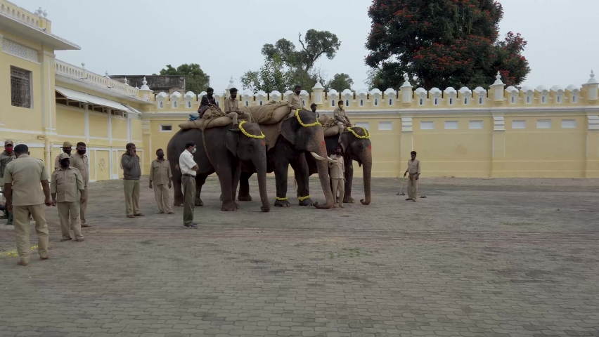 Elephant Rider Man Stock Video Footage - 4K and HD Video Clips ...