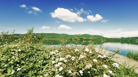 Landscape On Lake Corgeno Italy Stock Footage Video (100% Royalty-free ...