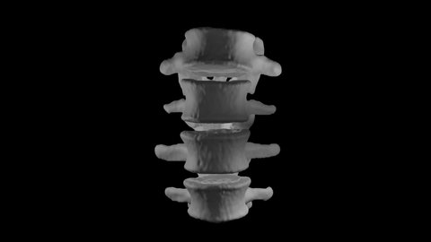 Animation Human Lumbar Vertebrae Rotating 360 Stock Footage Video (100% ...