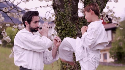 Karate Training Between Dad Son Near Stock Footage Video (100% Royalty ...