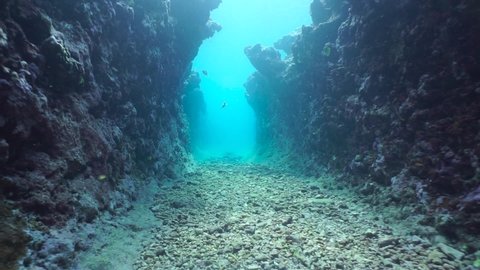 Moving Natural Trench Underwater Carved Into Stock Footage Video (100% ...