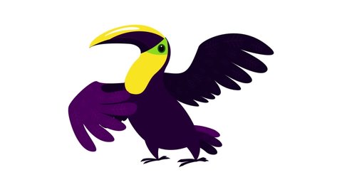 Dancing Toucan Icon Animation Cartoon Object Stock Footage Video (100% ...