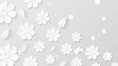 White Flowers Flowers Movement Motion Background Stock Footage Video ...