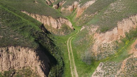 Top View Grand Canyon Gully Green Stock Footage Video (100% Royalty ...