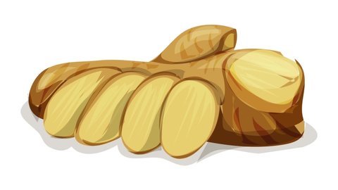 Fresh Ginger Root Icon Animation Cartoon Stock Footage Video (100% ...