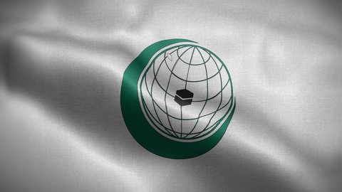 Organisation Islamic Cooperation Oic Flag Loop Stock Footage Video (100 ...