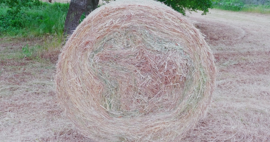 Hay, Cut and Dried, and Stock Footage Video (100% Royalty-free ...