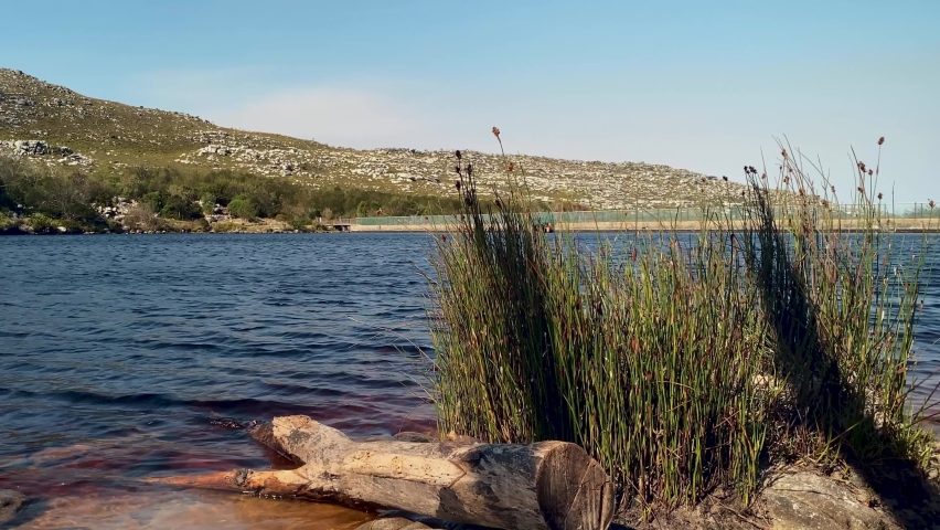 6 Silvermine nature reserve Stock Video Footage - 4K and HD Video Clips ...