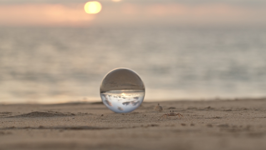 Circular crab Stock Video Footage - 4K and HD Video Clips | Shutterstock