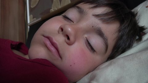 4k Red Cheeky Face Sleeping Seven Stock Footage Video (100% Royalty ...