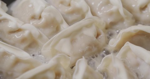 Grill Dumpling Pan Kitchen Stock Footage Video (100% Royalty-free ...