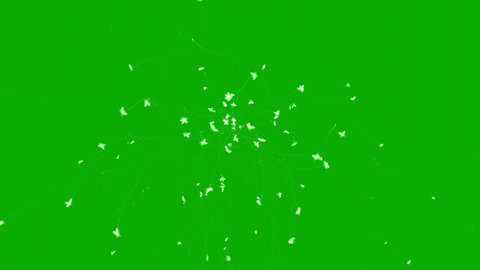 Magic Fireflies Motion Graphics Green Screen Stock Footage Video (100% ...