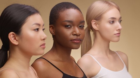 Groups of female models Stock Video Footage - 4K and HD Video Clips ...