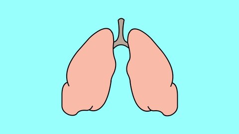 Lungs Working Animated Form Stock Footage Video (100% Royalty-free ...