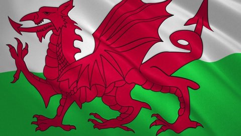 260 Wales national emblem Stock Video Footage - 4K and HD Video Clips ...