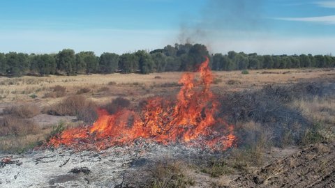 View Fire Flame Farm 4k Video Stock Footage Video (100% Royalty-free ...