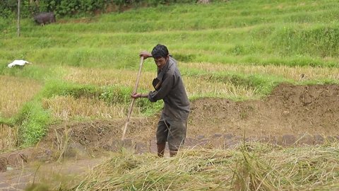 Stock Video Portfolio by Don_Nishantha | Shutterstock