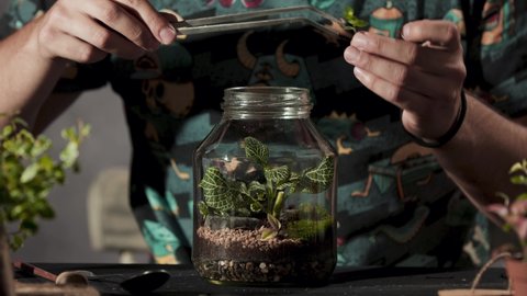 Person Making Terrarium Young Attractive Botanist Stock Footage Video ...