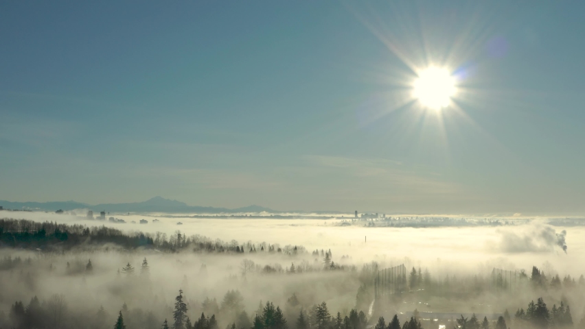 Fog over the trees in the forest in Vancouver, British Columbia, Canada ...