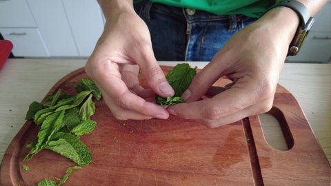 Woman Chopping Mint Prepare Tabbouleh Stock Footage Video (100% Royalty ...