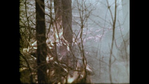1970s Forest Fire Firefighters Rake Soil Stock Footage Video (100% ...