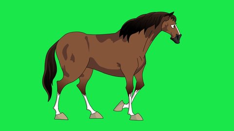 Horse 2d Stock Video Footage - 4K and HD Video Clips | Shutterstock