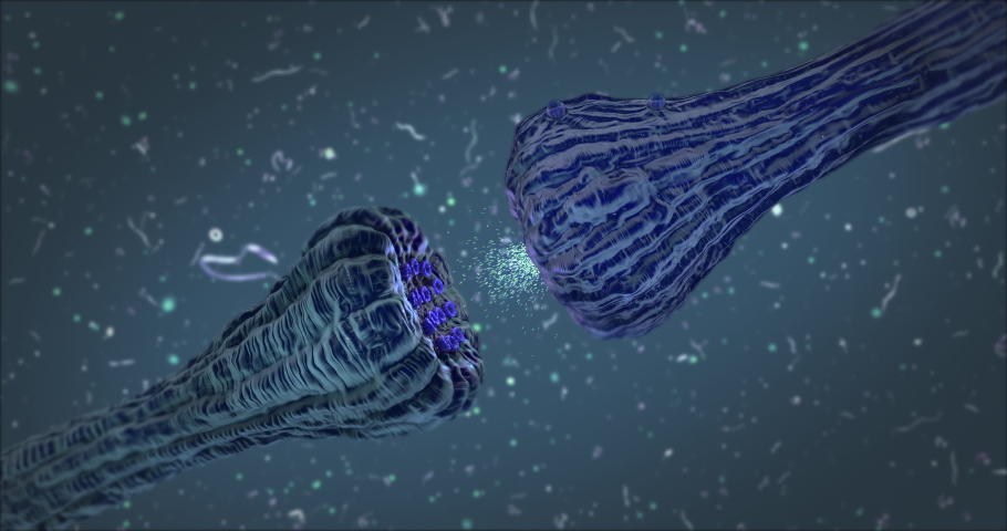 Sensory and motor neuron anatomy Stock Video Footage - 4K and HD Video ...