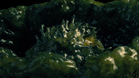 47 Slime Cocoon Stock Video Footage - 4K and HD Video Clips | Shutterstock