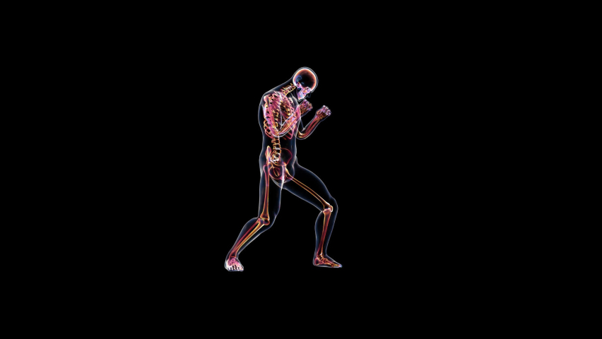 Athlete X-ray Boxing, Side View, Stock Footage Video (100% Royalty-free ...