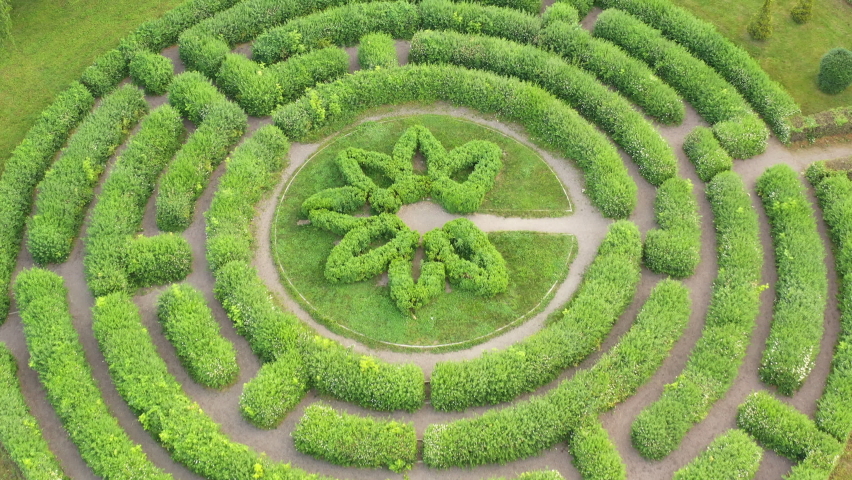 Boxwood pattern Stock Video Footage - 4K and HD Video Clips | Shutterstock