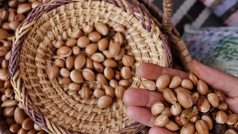 Argan Nuts Basket Argan Kernels Nuts Stock Footage Video (100% Royalty ...