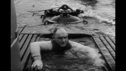 3 Uss tilefish Stock Video Footage - 4K and HD Video Clips | Shutterstock