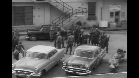 3 Uss tilefish Stock Video Footage - 4K and HD Video Clips | Shutterstock