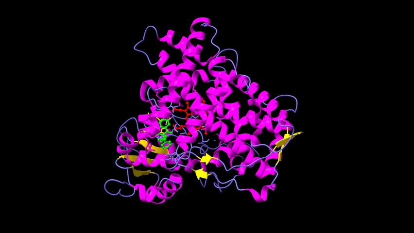 Heme structure: videos de stock; videoclips en 4K y HD | Shutterstock