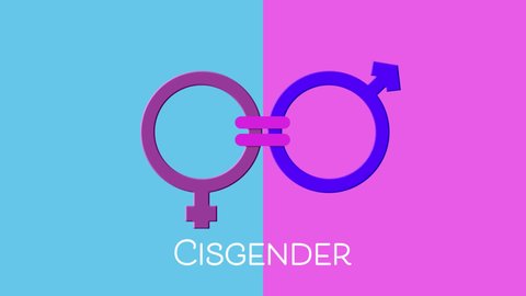 Animation Text Cisgender Male Female Gender Stock Footage Video (100% ...