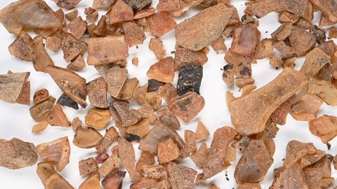 Top View Herb Wubeizi Galla Chinensis Stock Footage Video (100% Royalty ...